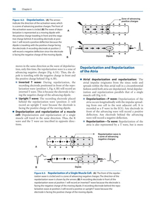 basic and bedside ECG.pdf
