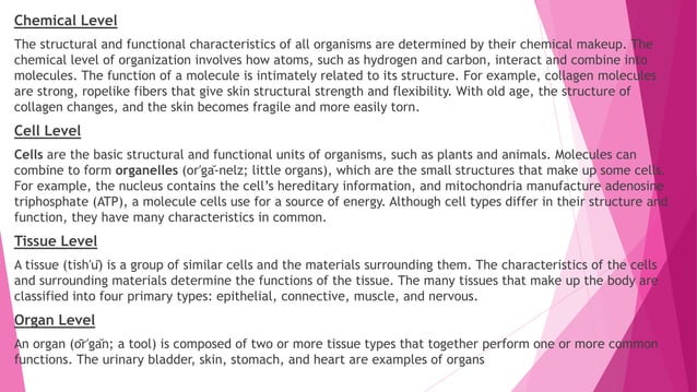 Basic and cell physiology | PPT