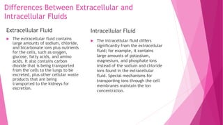 Basic and cell physiology | PPT