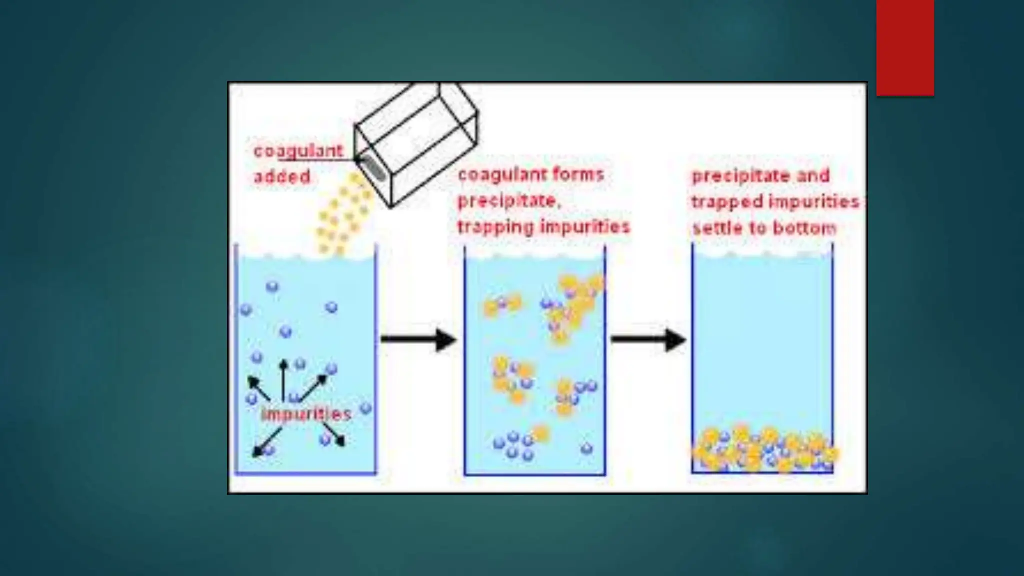 Basic and Intermediate Downstream Processing.pptx