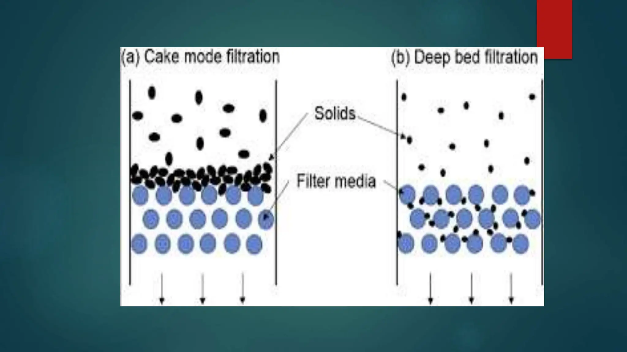 Basic and Intermediate Downstream Processing.pptx