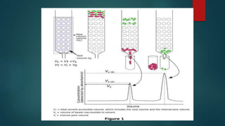 Basic and Intermediate Downstream Processing.pptx