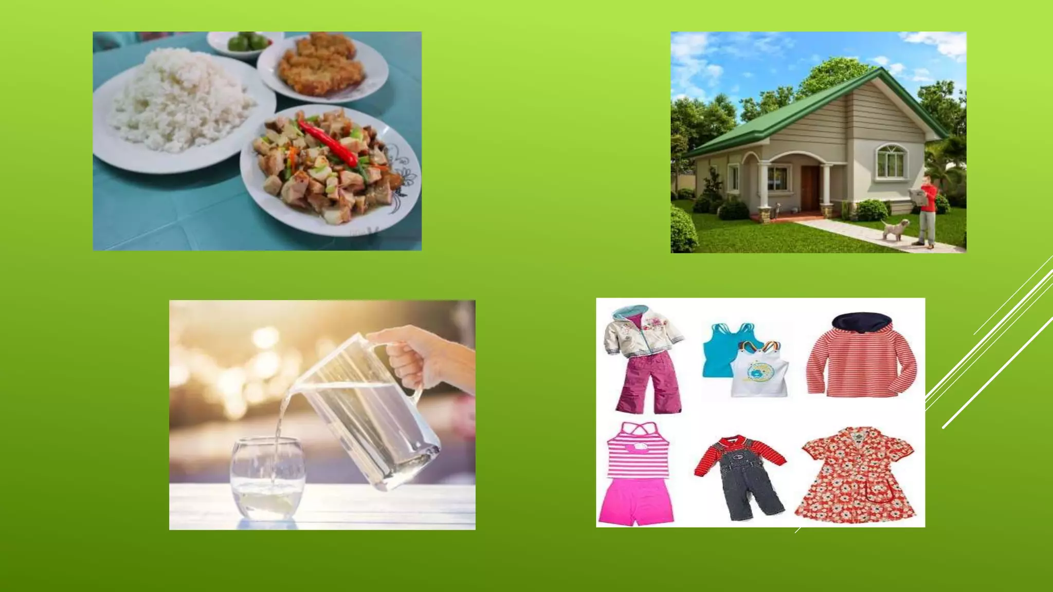 Basic and Social Needs of the Family | PPTX | Home Improvement | Home ...