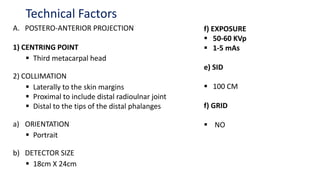 Basic and supplementary projection of hand | PPTX