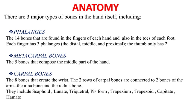 Basic and supplementary projection of hand | PPTX | Death, Injury, or ...