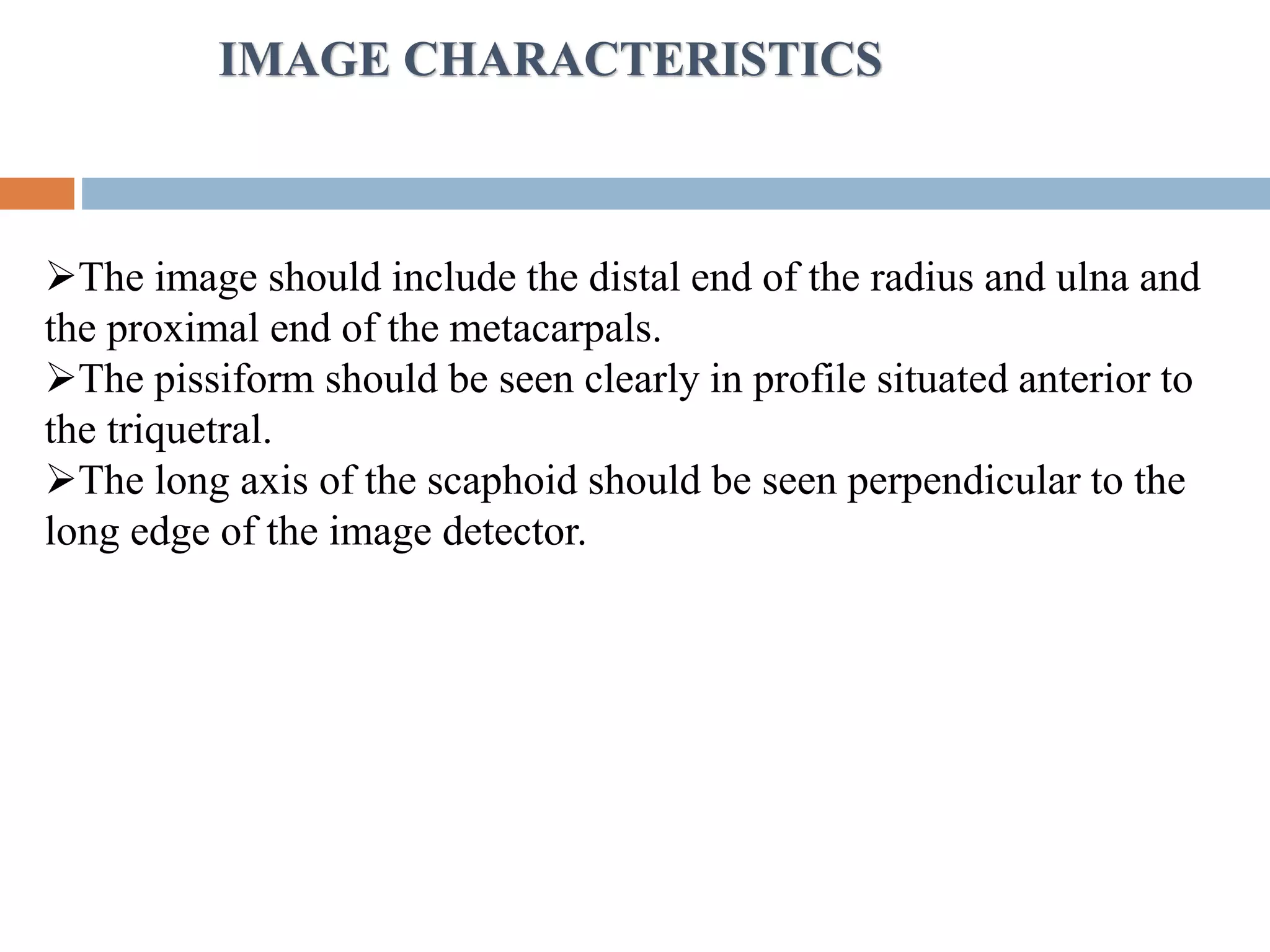 Basic and supplementary projections of thumb and scaphoid | PPTX
