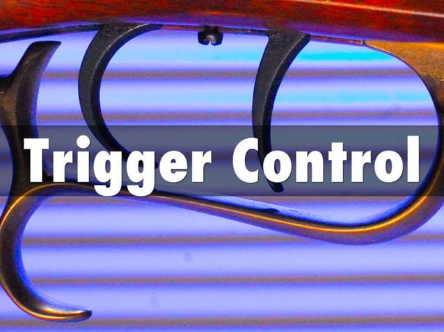 Basic and Tactical Firearms Tips | PPT