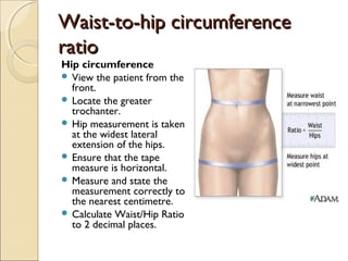 Basic anthropometry ppt. | PPT