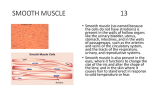 B asic ap chapter 10 powerpoint 2017 | PPT