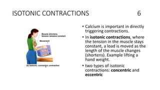 B asic ap chapter 10 powerpoint 2017 | PPT