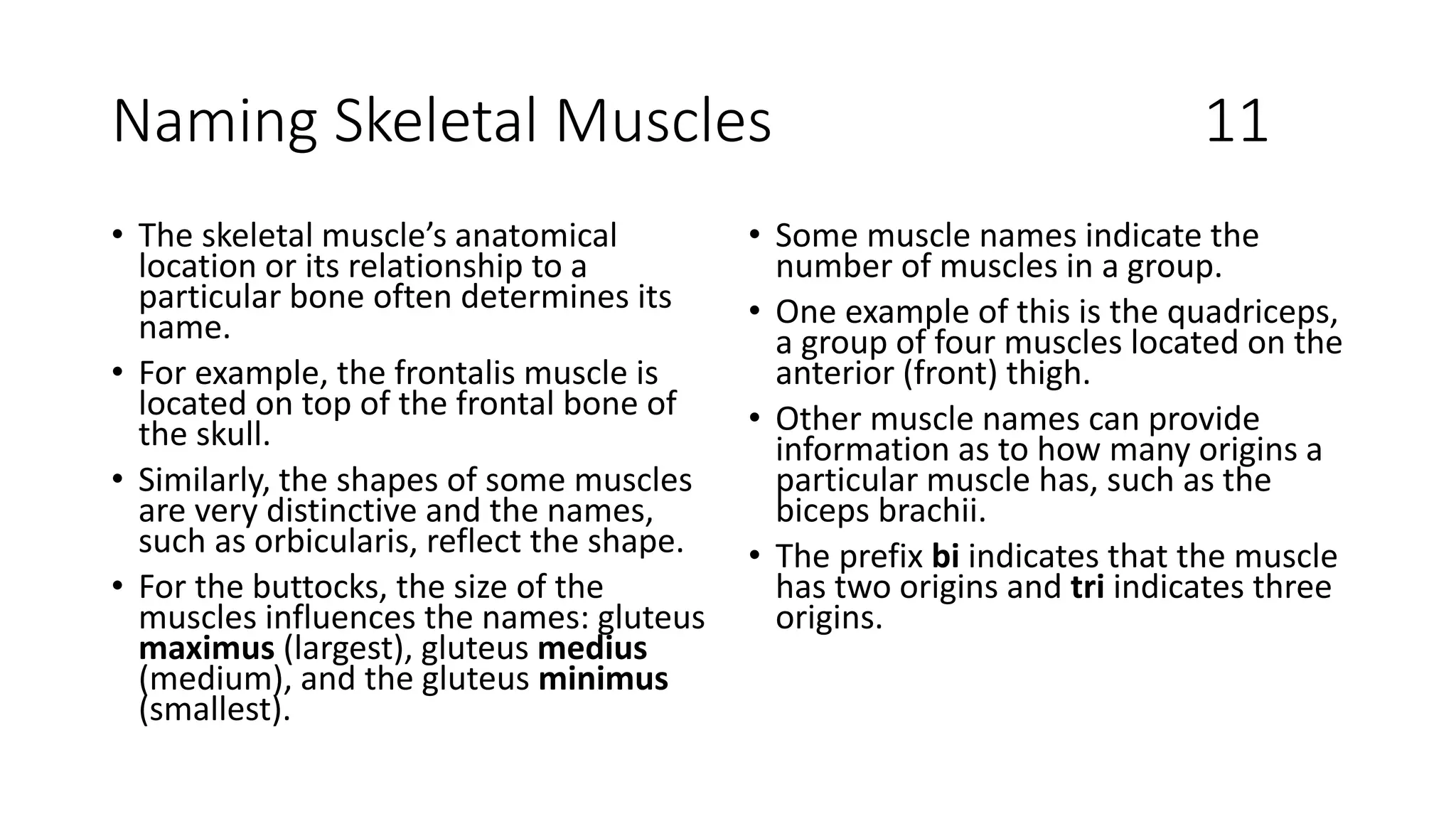 Basic ap chapter 11 powerpoint 2017 | PPTX