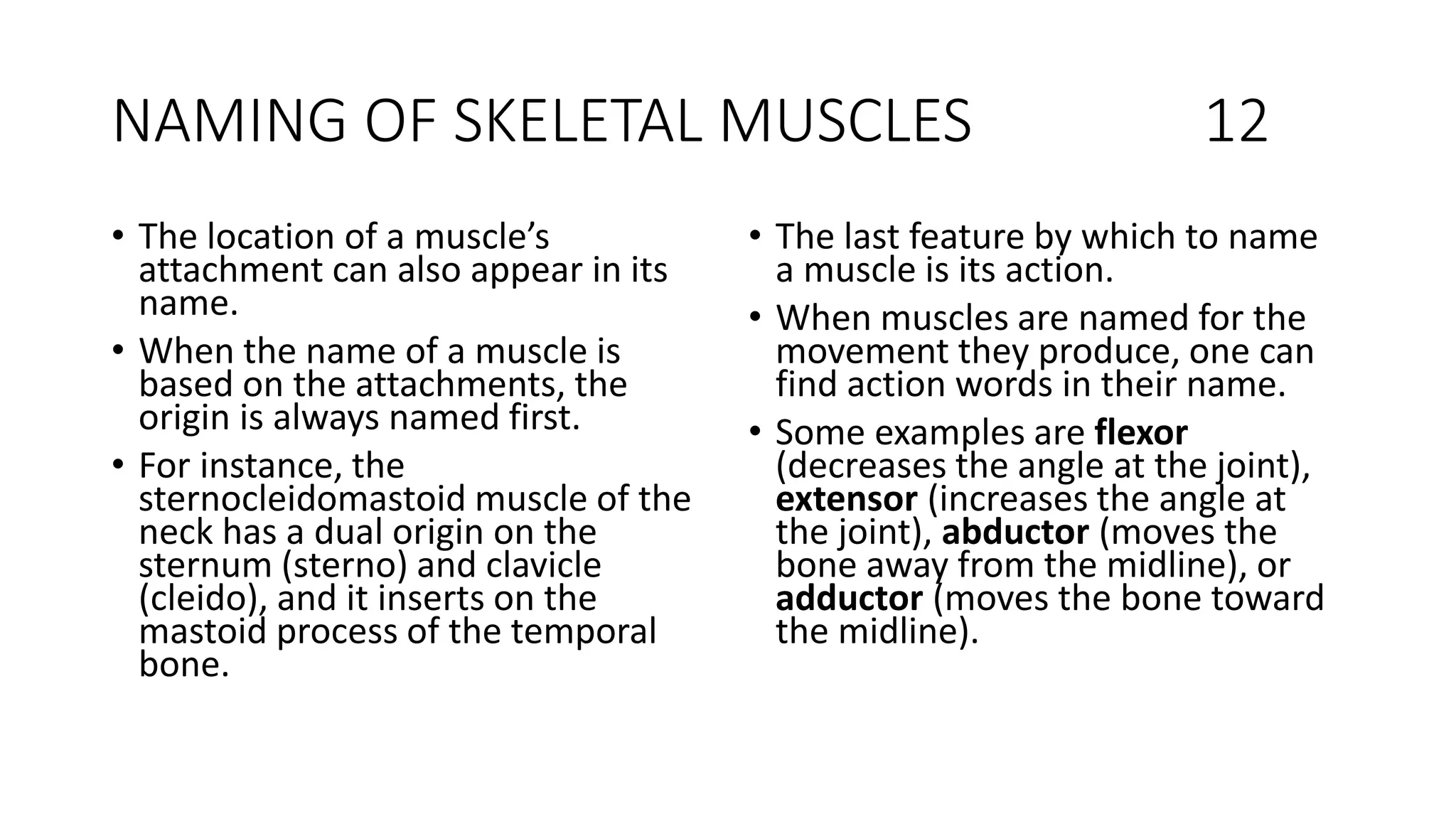 Basic ap chapter 11 powerpoint 2017 | PPTX