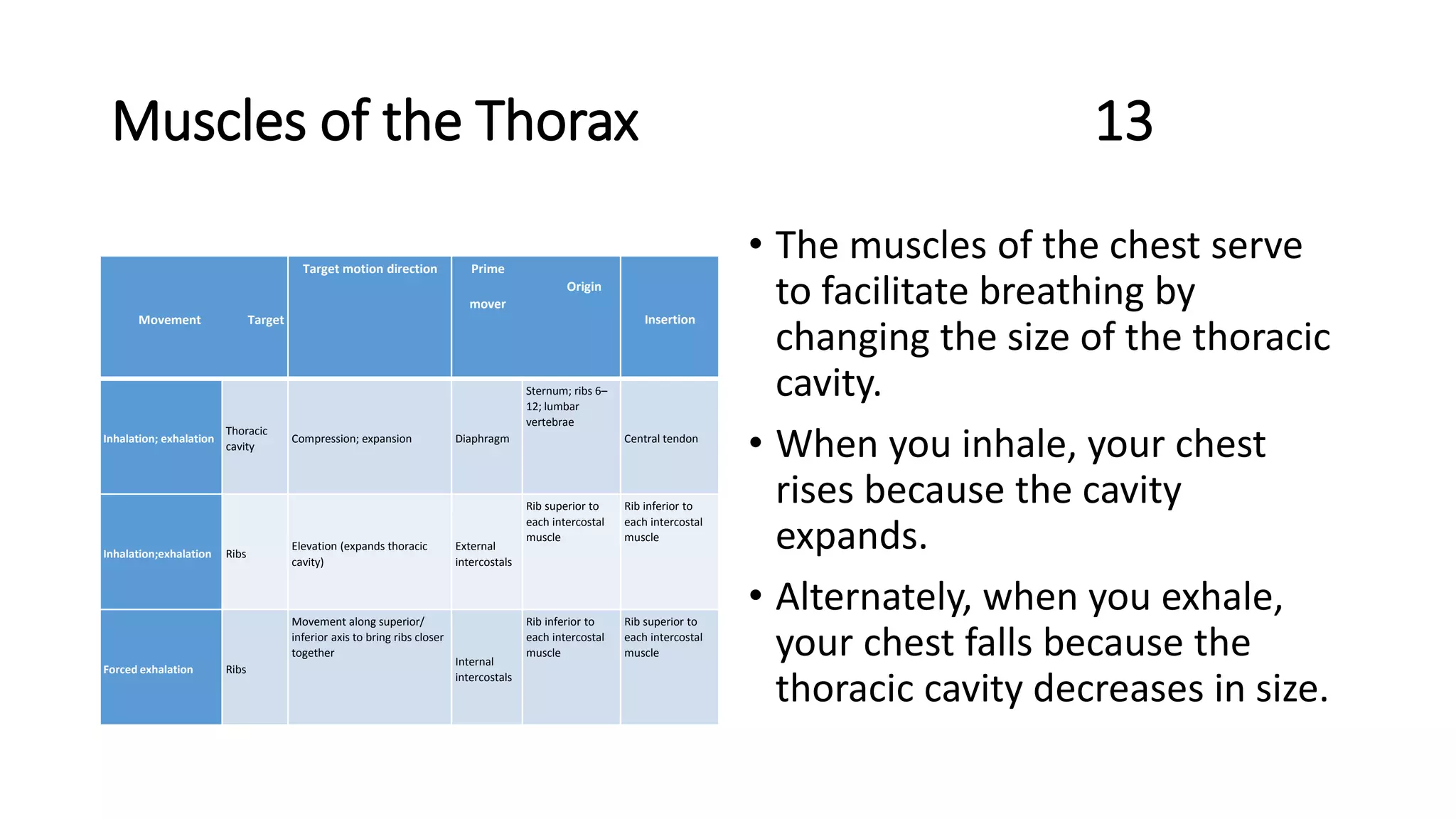 Basic ap chapter 11 powerpoint 2017 | PPTX