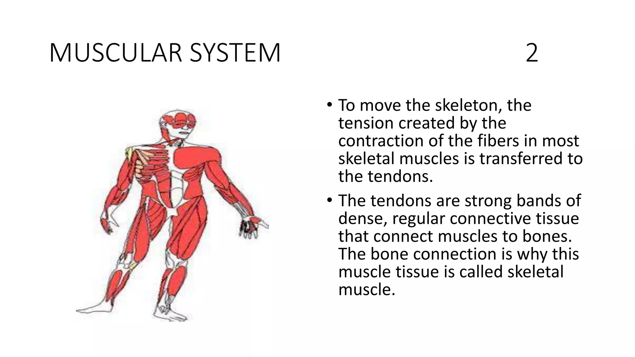 Basic ap chapter 11 powerpoint 2017 | PPTX