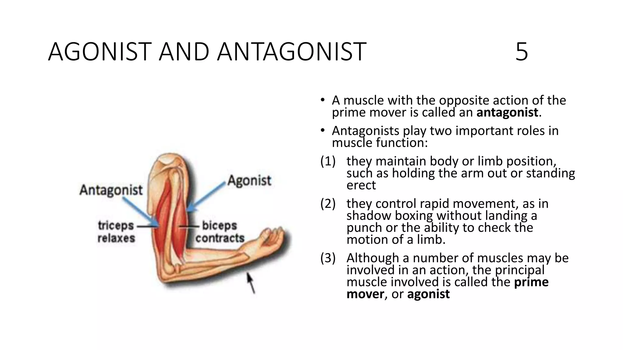 Basic ap chapter 11 powerpoint 2017 | PPTX