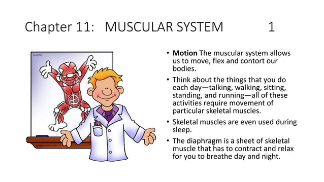 Basic ap chapter 11 powerpoint 2017 | PPT
