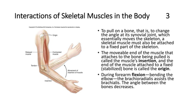 Basic ap chapter 11 powerpoint 2017 | PPT