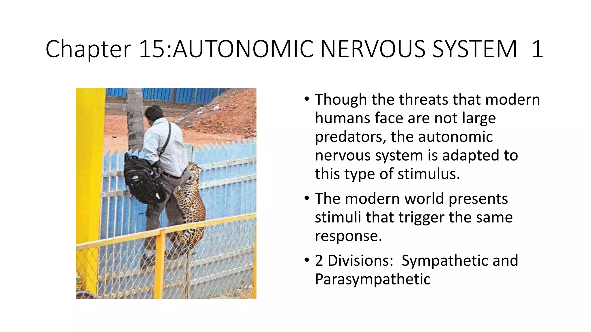 Basic ap chapter 15 powerpoint 2017 | PPTX