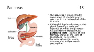 Basic ap chapter 17 powerpoint 2017 | PPTX | Endocrine and Metabolic Diseases | Diseases and ...