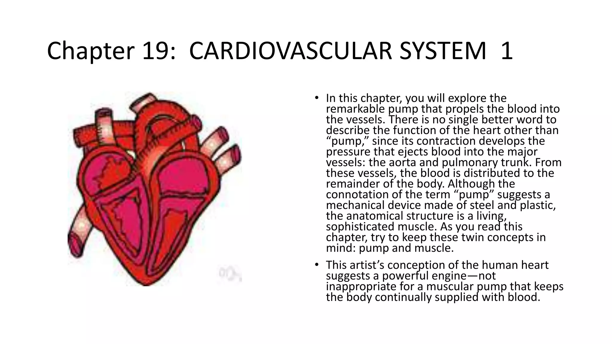 Basic ap chapter 19 powerpoint 2017 | PPTX