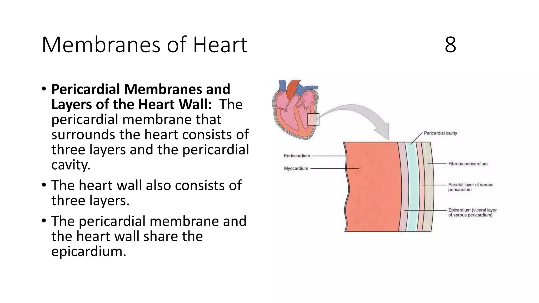 Basic ap chapter 19 powerpoint 2017 | PPTX