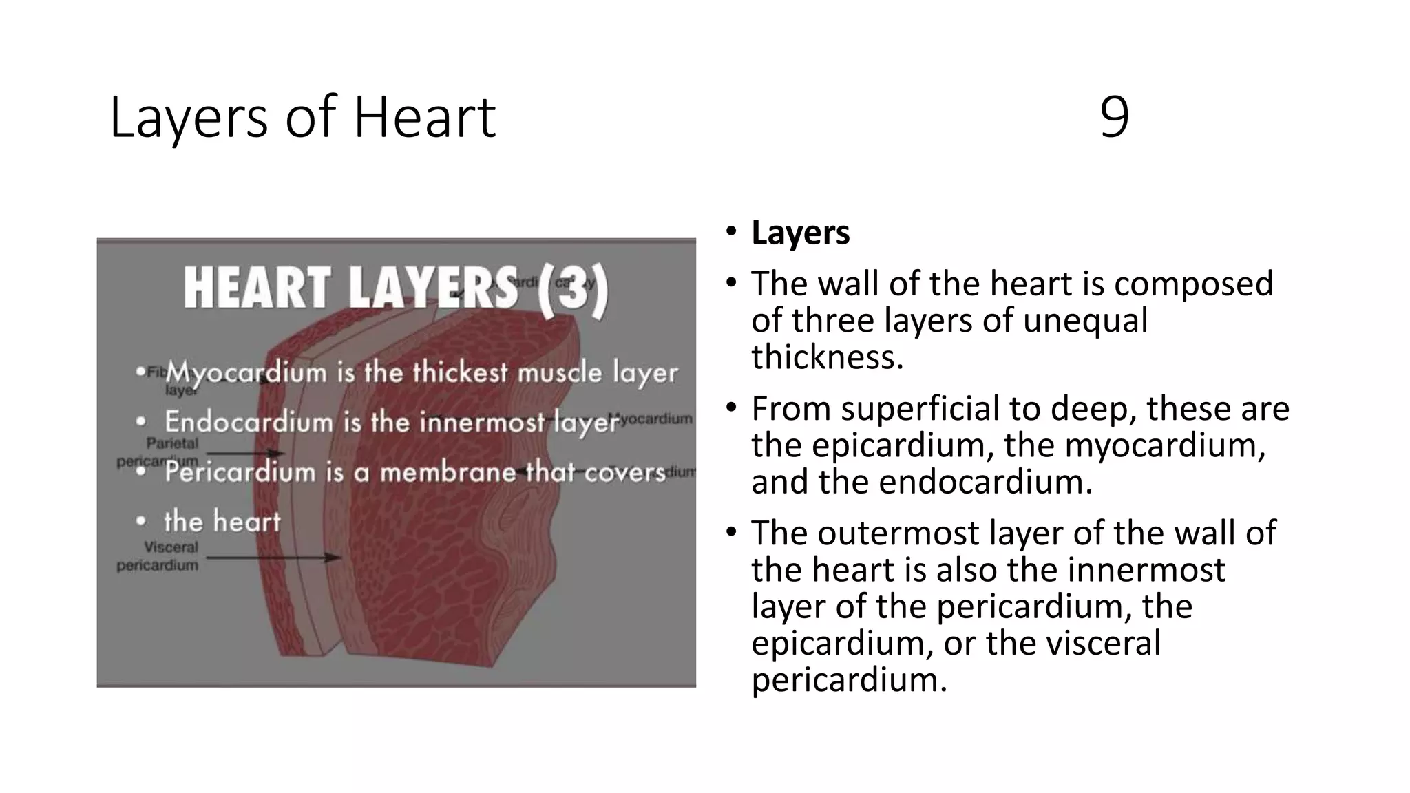 Basic ap chapter 19 powerpoint 2017 | PPTX
