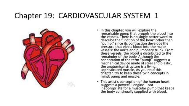 Basic ap chapter 19 powerpoint 2017 | PPTX | Heart and Cardiovascular Diseases | Diseases and ...