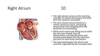 Basic ap chapter 19 powerpoint 2017 | PPTX