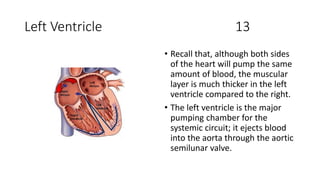 Basic ap chapter 19 powerpoint 2017 | PPTX
