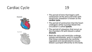 Basic ap chapter 19 powerpoint 2017 | PPTX