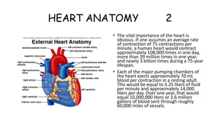 Basic ap chapter 19 powerpoint 2017 | PPTX