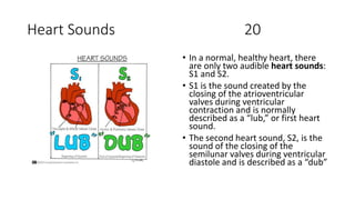 Basic ap chapter 19 powerpoint 2017 | PPTX