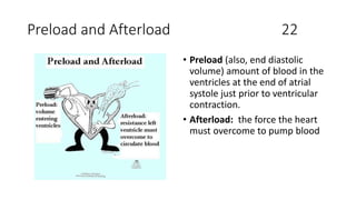 Basic ap chapter 19 powerpoint 2017 | PPTX | Heart and Cardiovascular ...