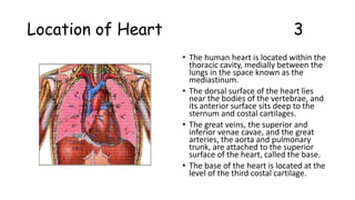 Basic ap chapter 19 powerpoint 2017 | PPTX
