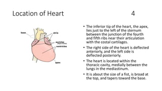 Basic ap chapter 19 powerpoint 2017 | PPTX