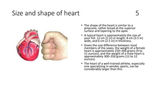 Basic ap chapter 19 powerpoint 2017 | PPTX