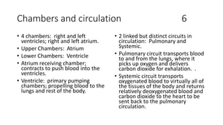 Basic ap chapter 19 powerpoint 2017 | PPTX