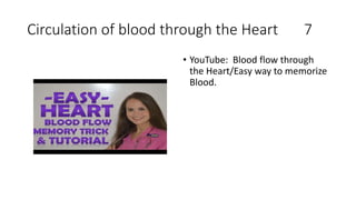 Basic ap chapter 19 powerpoint 2017 | PPTX