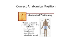Basic ap chapter 1 powerpoint | PPT