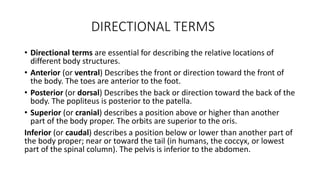 Basic ap chapter 1 powerpoint | PPT