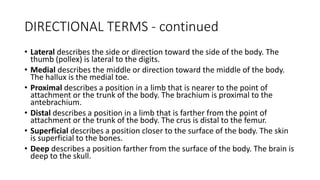 Basic ap chapter 1 powerpoint | PPT