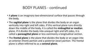 Basic ap chapter 1 powerpoint | PPT