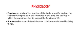 Basic ap chapter 1 powerpoint | PPT