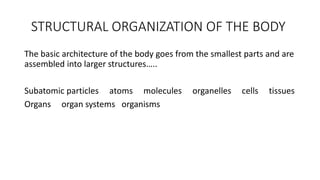 Basic ap chapter 1 powerpoint | PPT