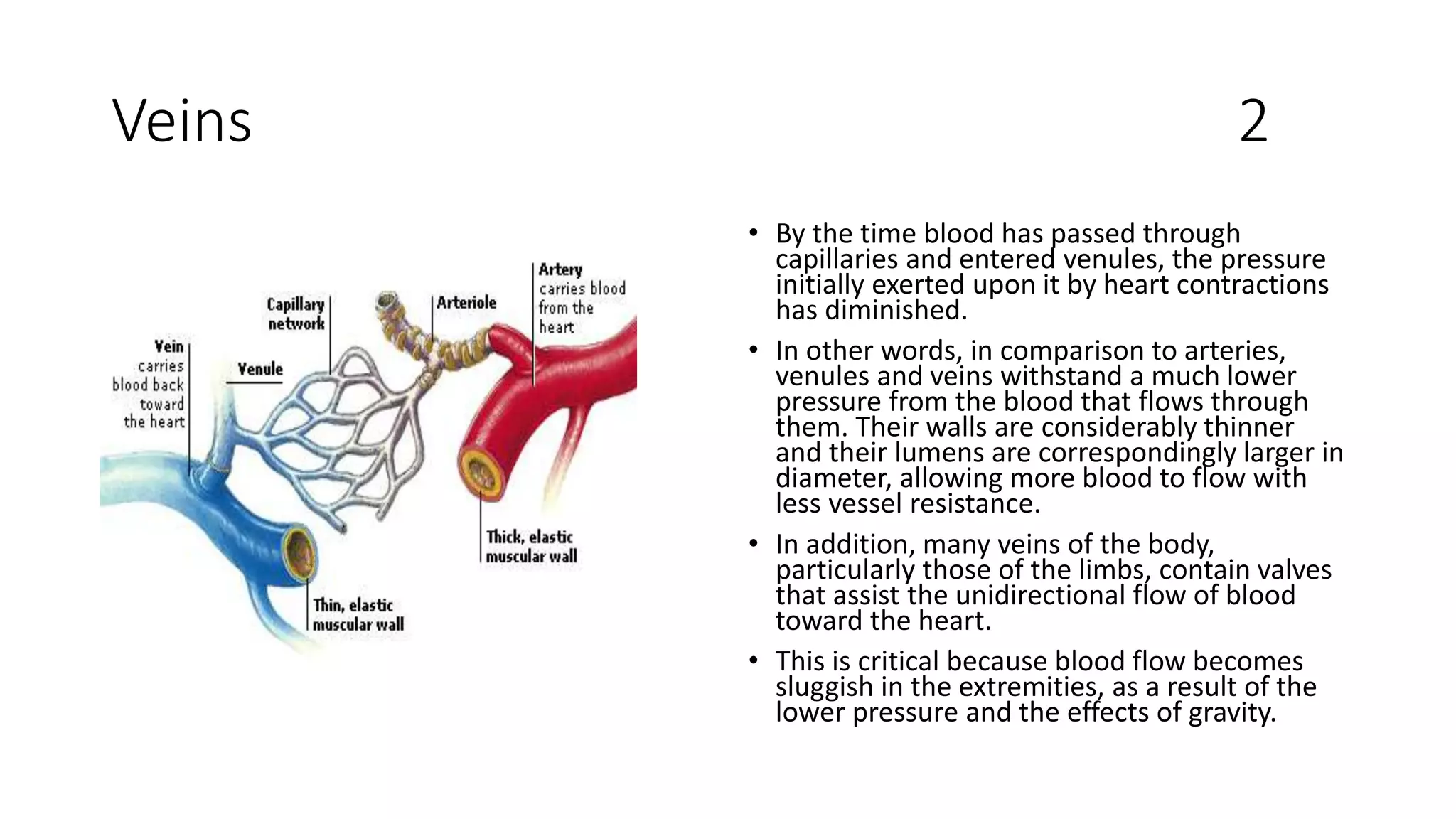 Basic ap chapter 20 powerpoint 2017 | PPT
