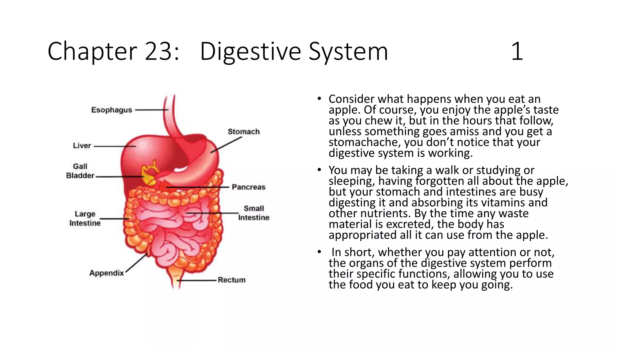 Basic ap chapter 23 powerpoint 2017 | PPT