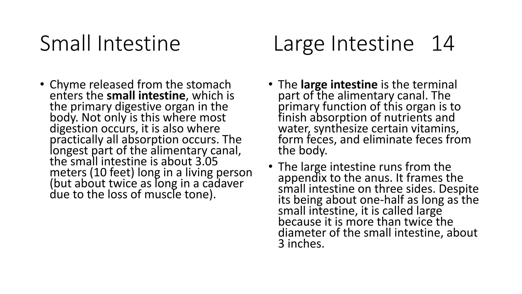 Basic ap chapter 23 powerpoint 2017 | PPT
