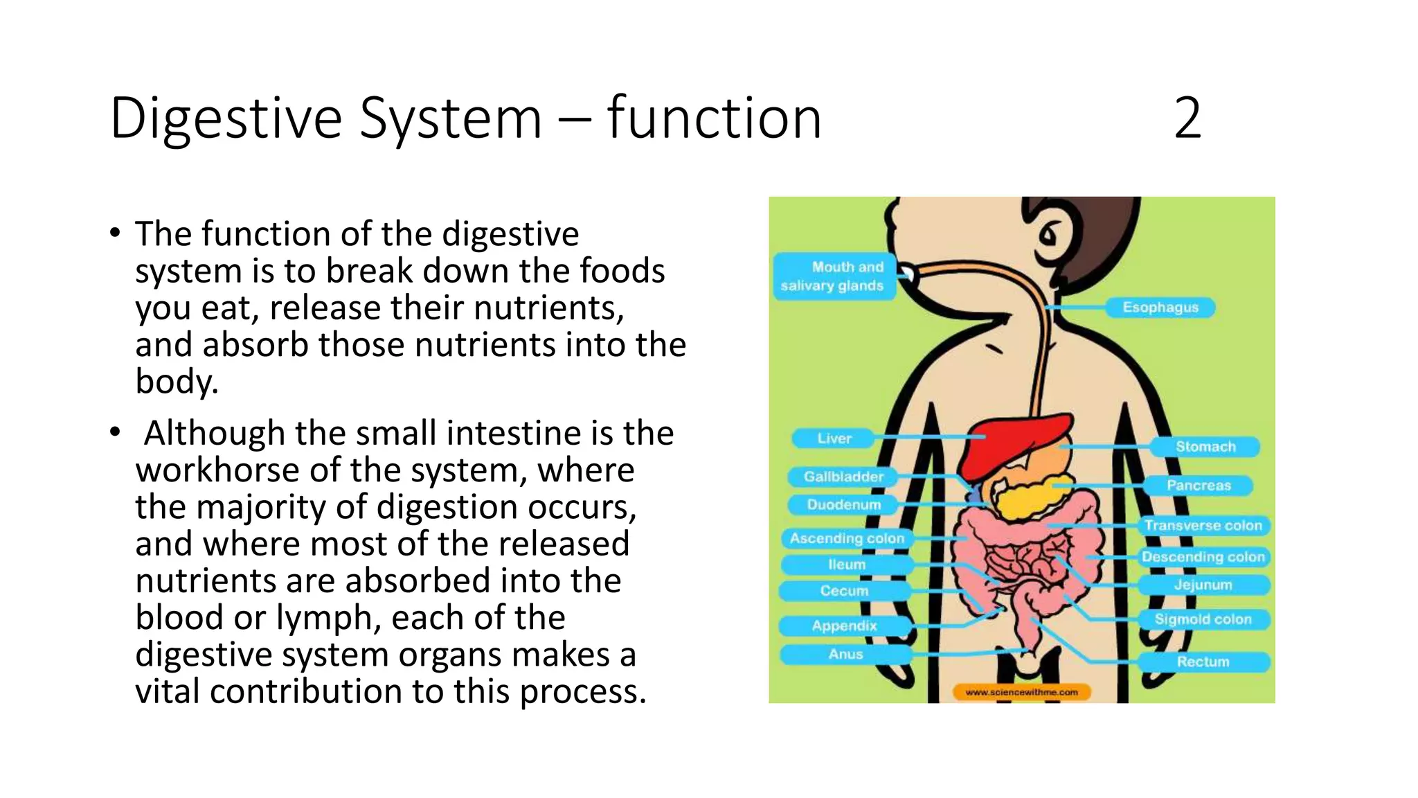 Basic ap chapter 23 powerpoint 2017 | PPT
