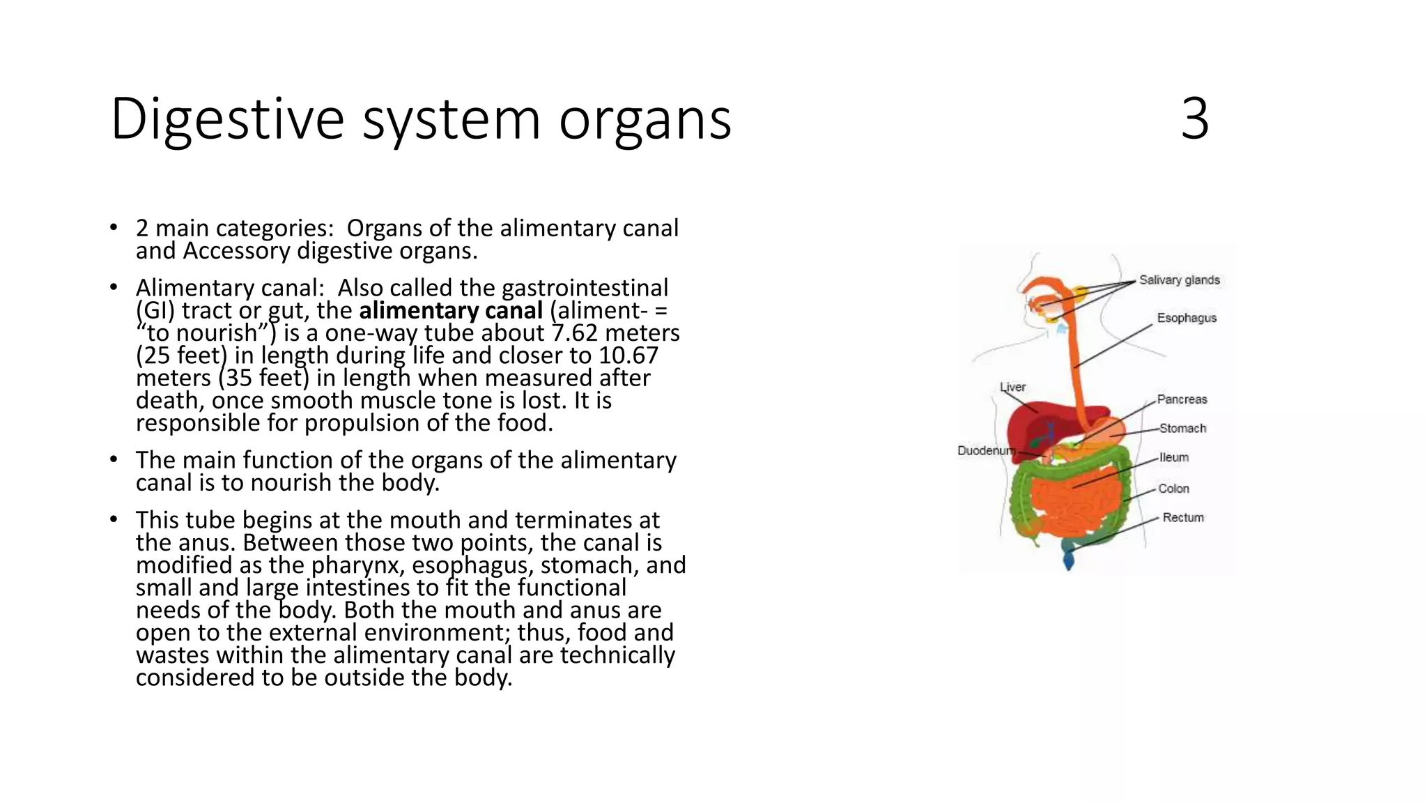Basic ap chapter 23 powerpoint 2017 | PPT