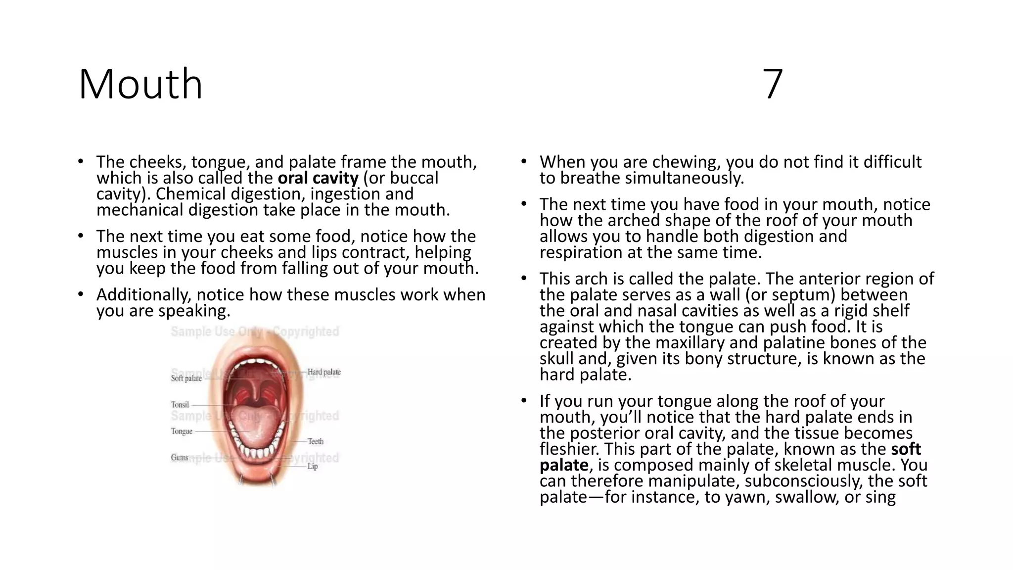 Basic ap chapter 23 powerpoint 2017 | PPT